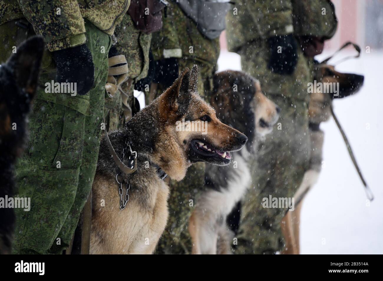 1 4 Infantry High Resolution Stock Photography and Images - Alamy