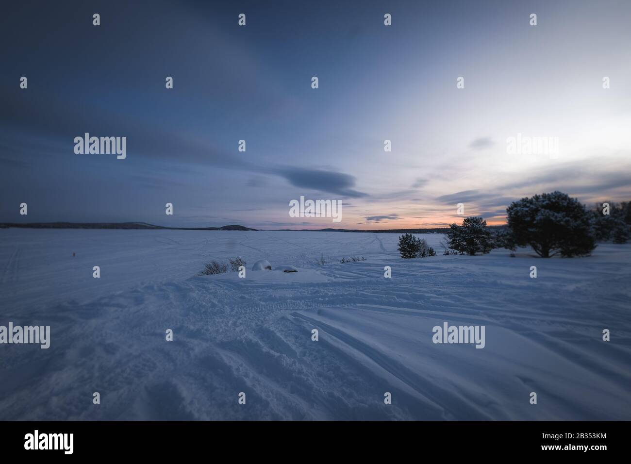 Beautiful scenery of a lot of leafless trees in a snow-covered land ...