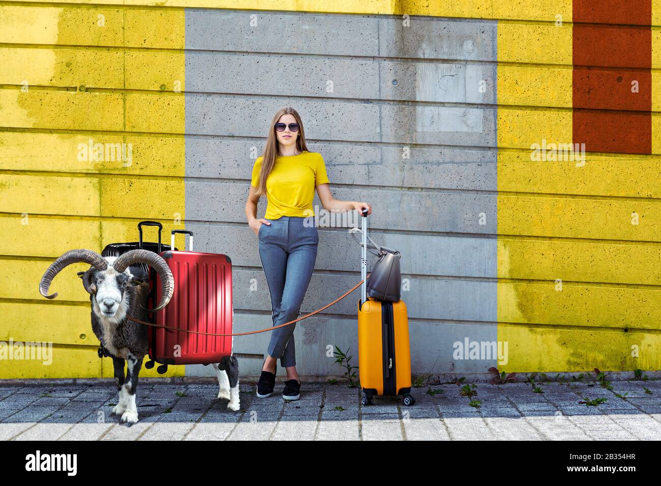 Picture of ram hi-res stock photography and images - Alamy