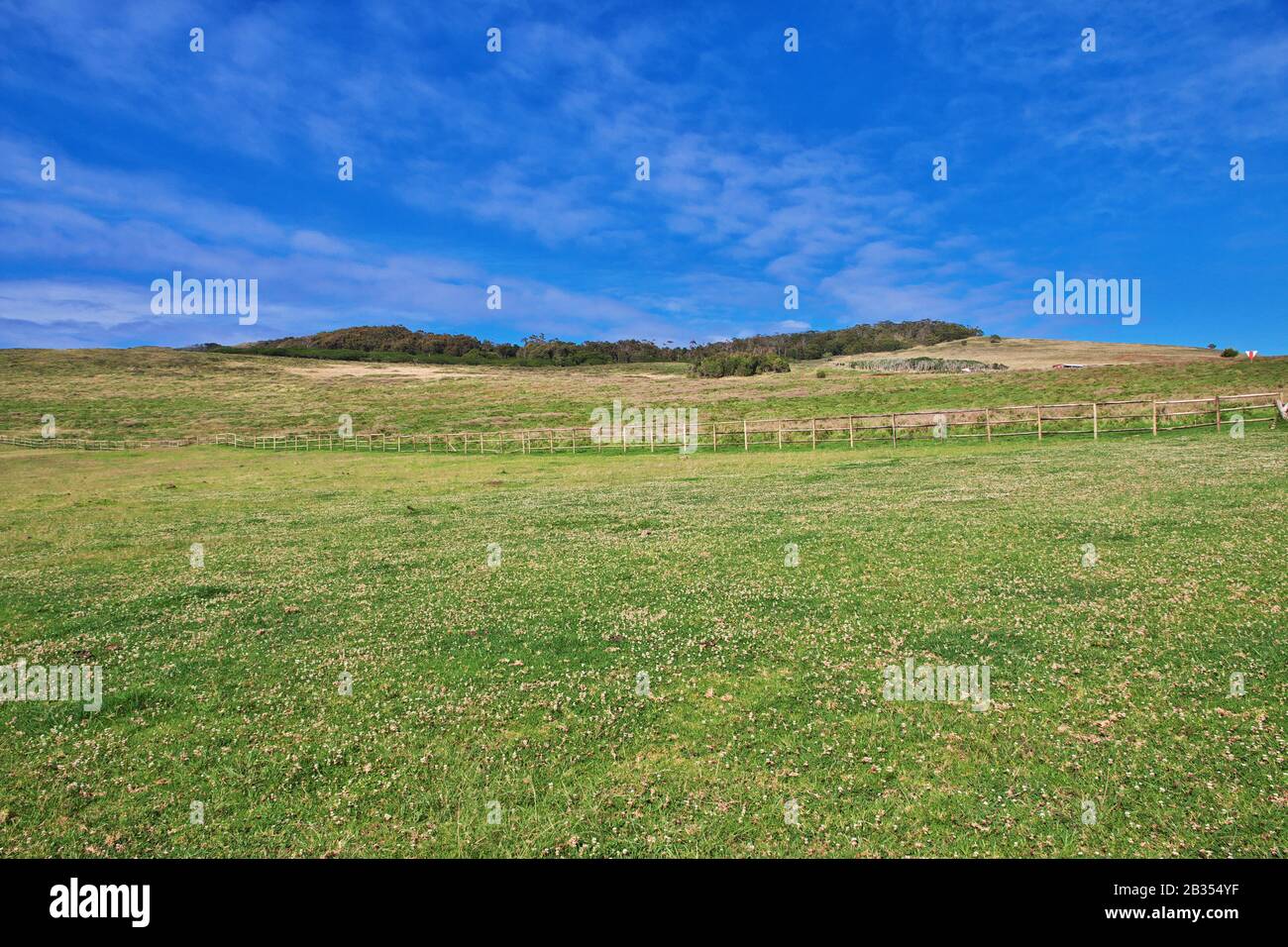 Rapa Nui. Ahu Vinapu park on Easter Island, Chile Stock Photo - Alamy
