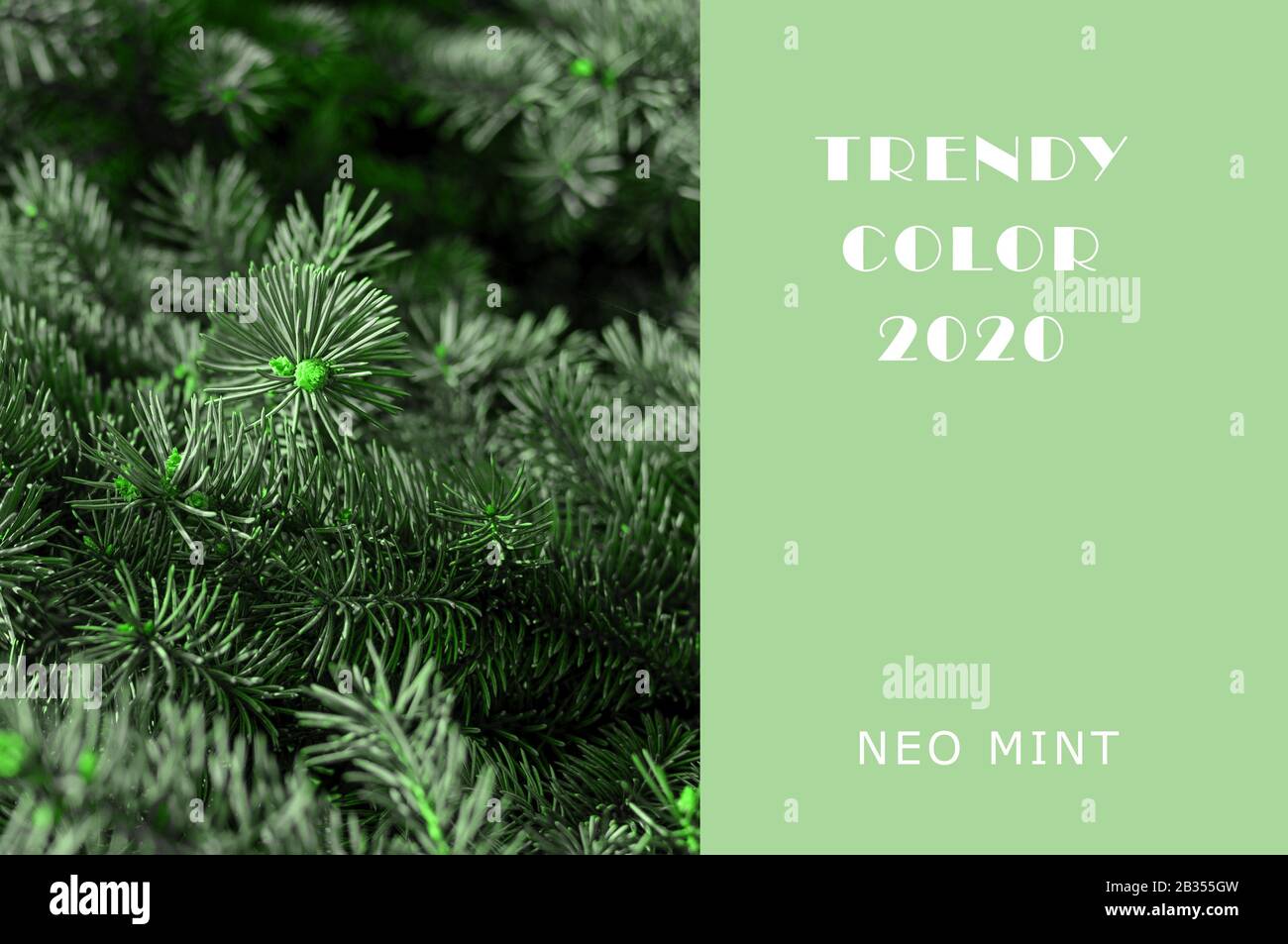 Christmas tree branches in Neo Mint color. Juicy tones in a new mint ...