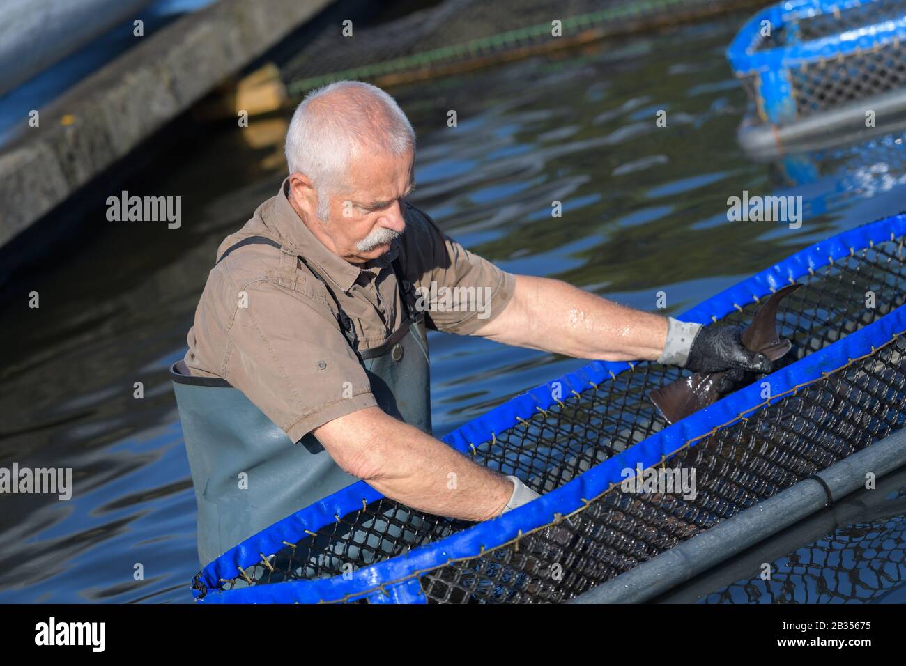 portrait of fish farmer at work Stock Photo - Alamy