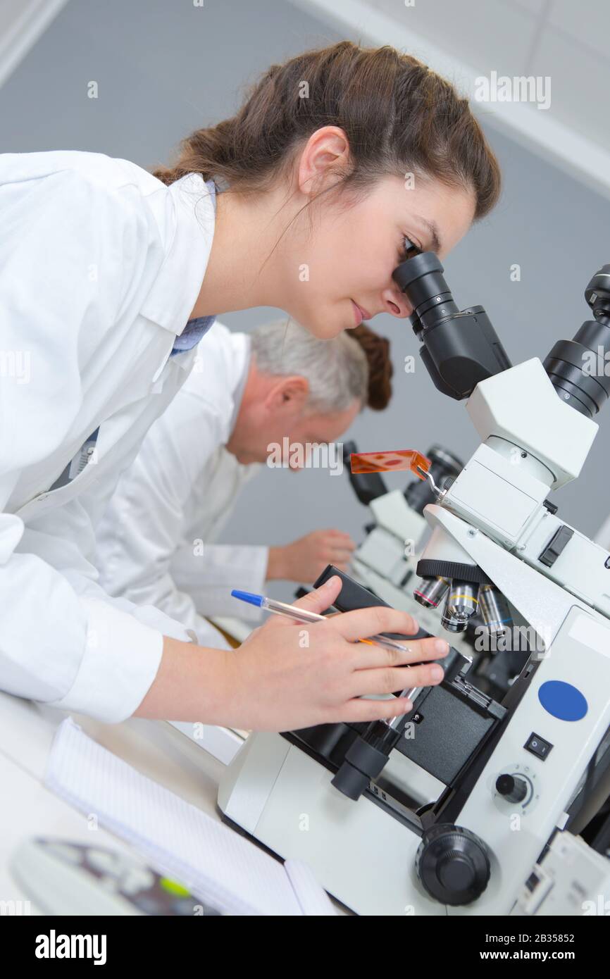 female scientist looking through a microscope in laboratory Stock Photo ...