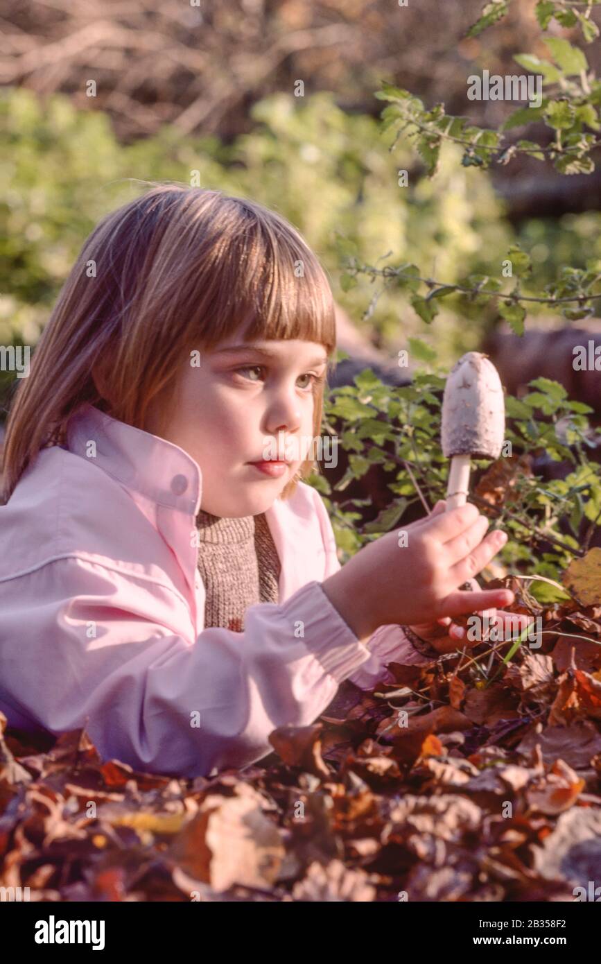 young child, girl, lying on ground picking toadstools and examining ...