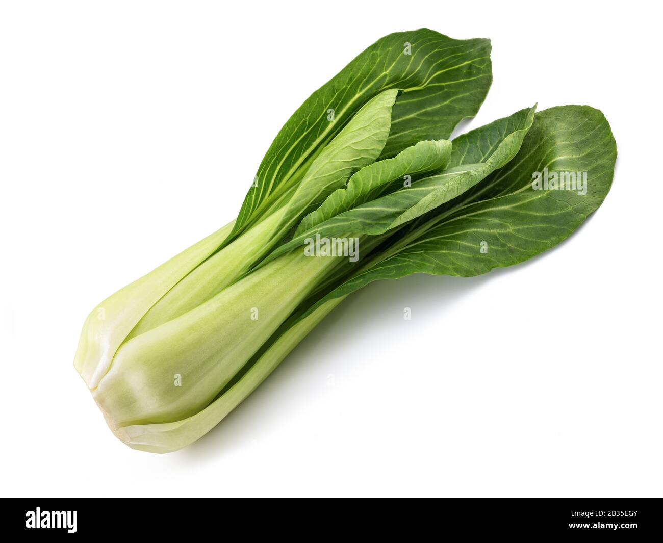 Rapa chinensis hi-res stock photography and images - Alamy