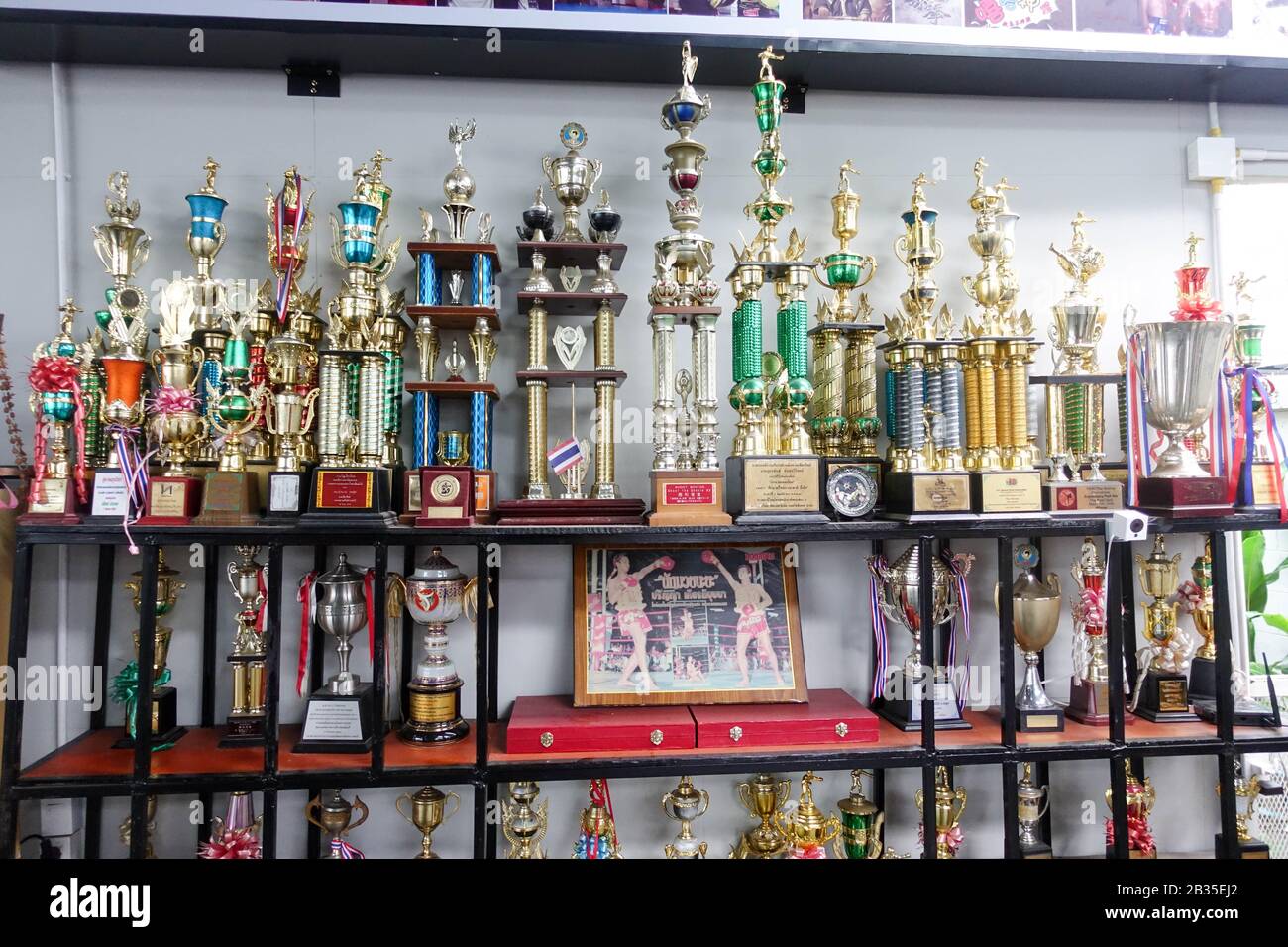 Numerous Trophies on Muay Thai Dojo Stock Photo - Alamy