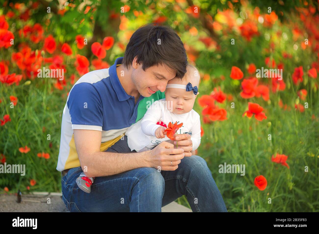 Happy father and child playing together on the poppy meadow. Dad and ...