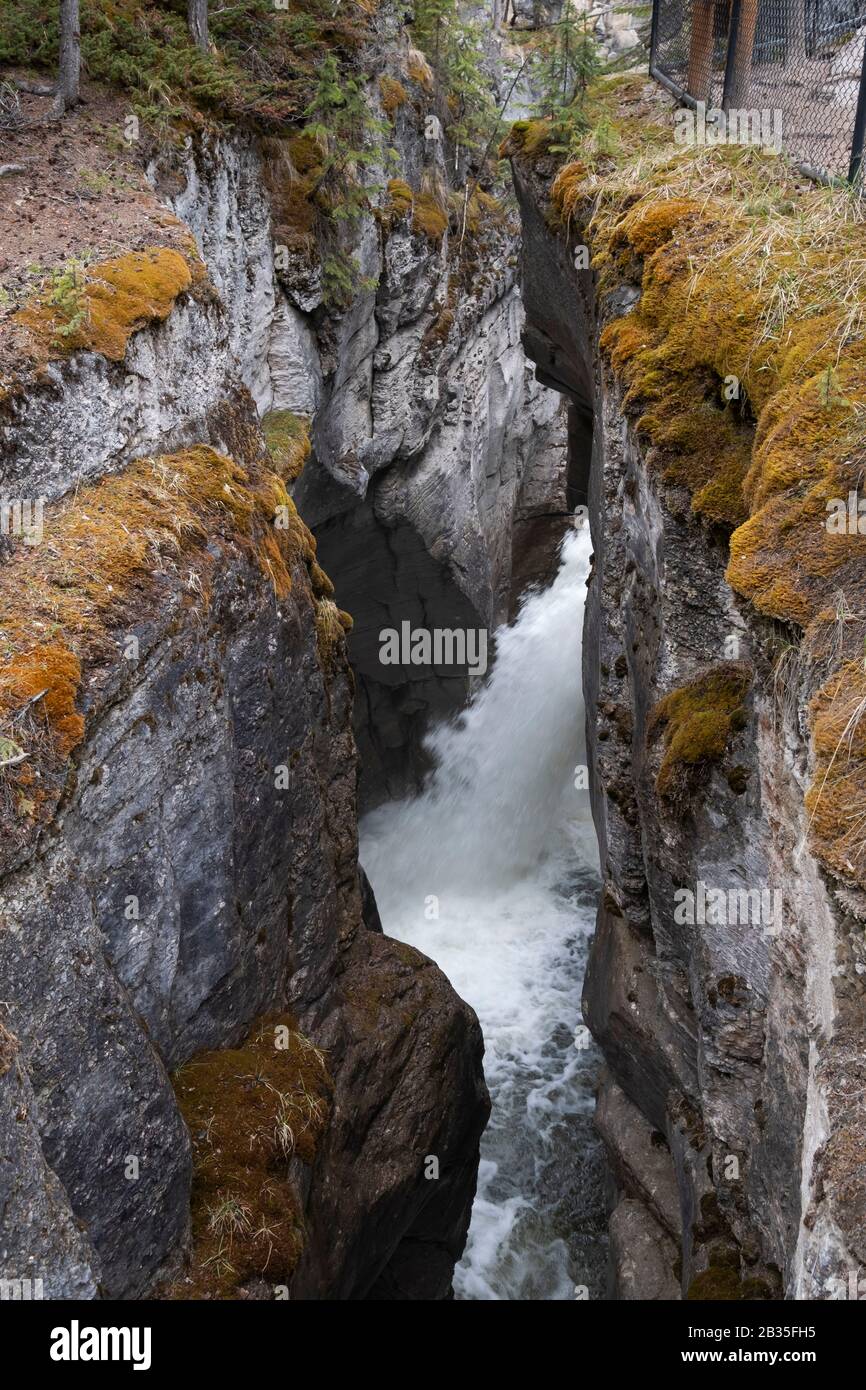 The Maligne River as it flows through the deep gorges of the Maligne ...