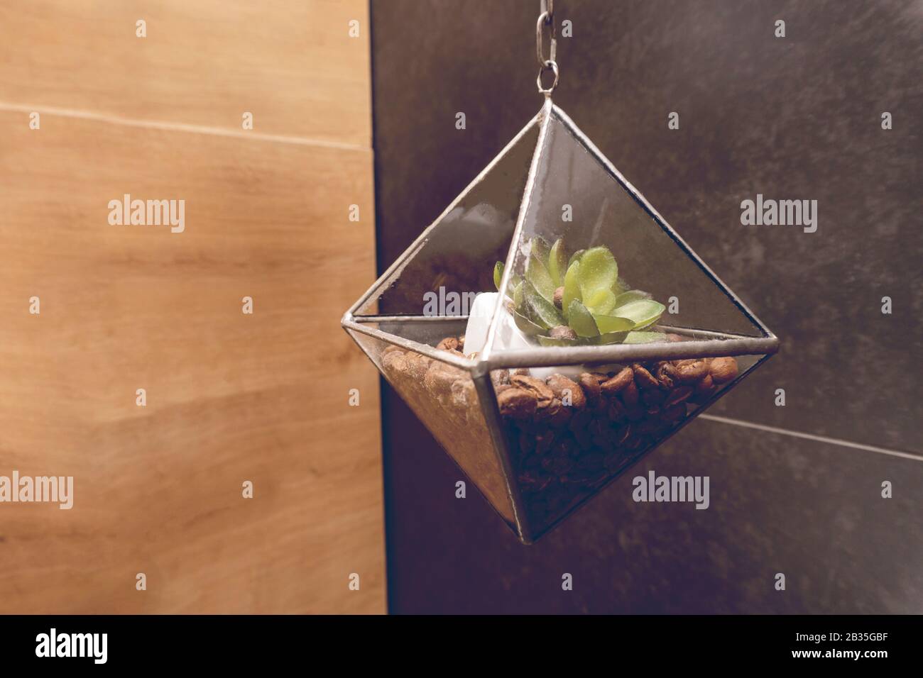 Glass florarium hi-res stock photography and images - Alamy