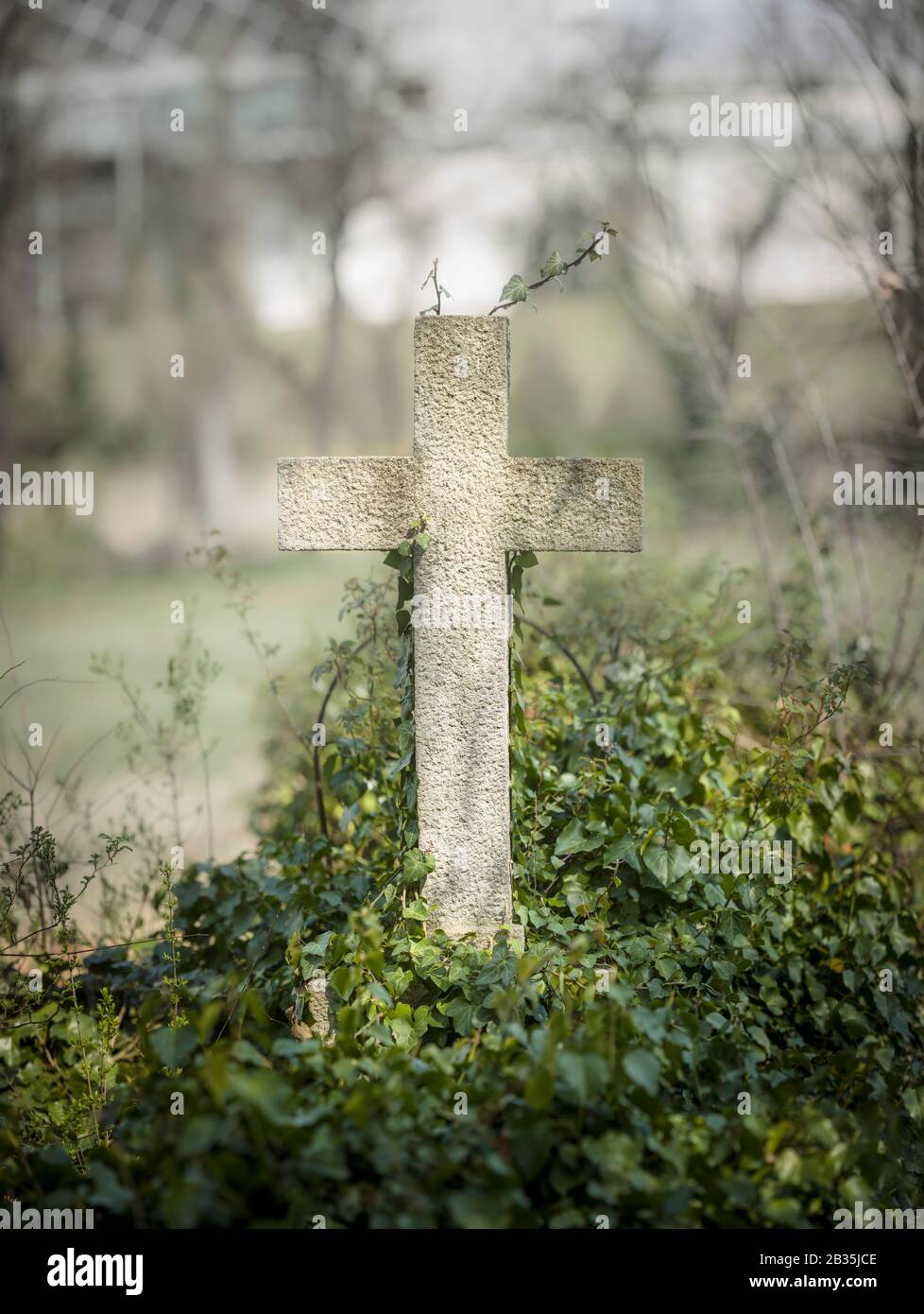 Stone cross and overgrown ivy graves at the Kerepesi Cemetery. Budapest., Hungary Stock Photo ...