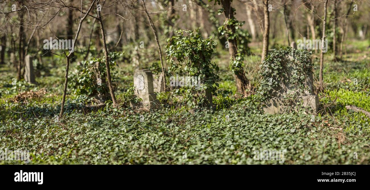 Kerepesi cemetery hi-res stock photography and images - Alamy