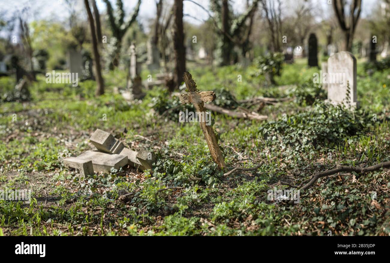 Old burying ground cemetery cemetary graveyard grave graves tombstone tomb hi-res stock ...