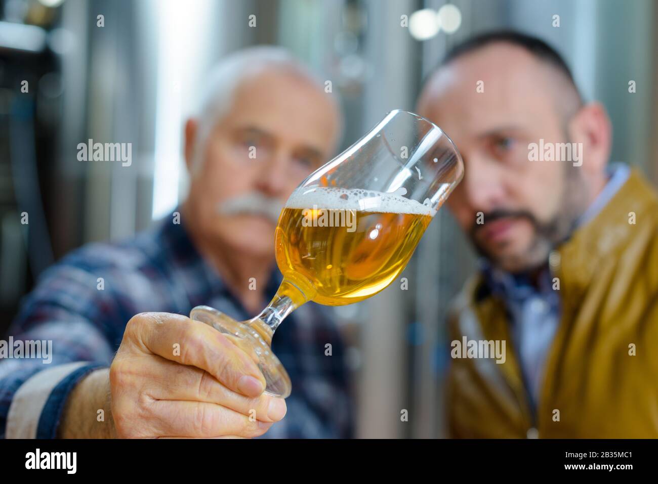 brewer tilting glass to inspect beer Stock Photo - Alamy