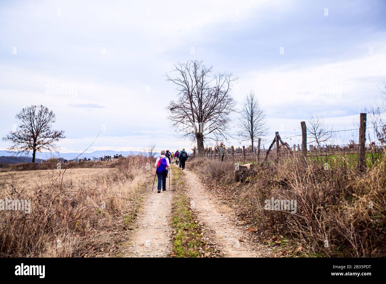 Hiking, Travel, Healthy Lifestyle. Group of active people with backpack ...