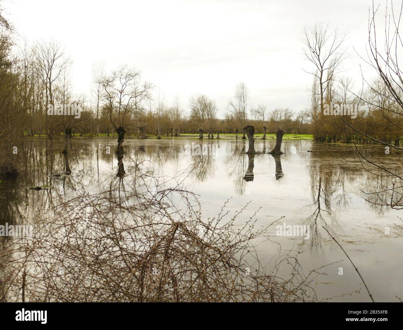 Regional natural park of the marais poitevin hi-res stock photography ...