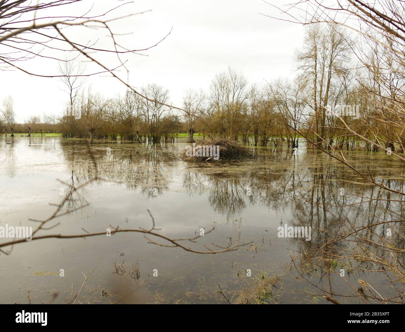Regional natural park of the marais poitevin hi-res stock photography ...