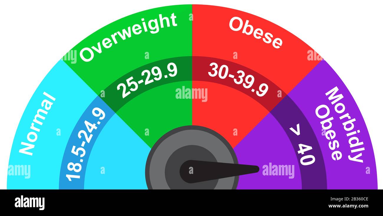 body mass index indicator meter morbidly obese illustration Stock Photo ...