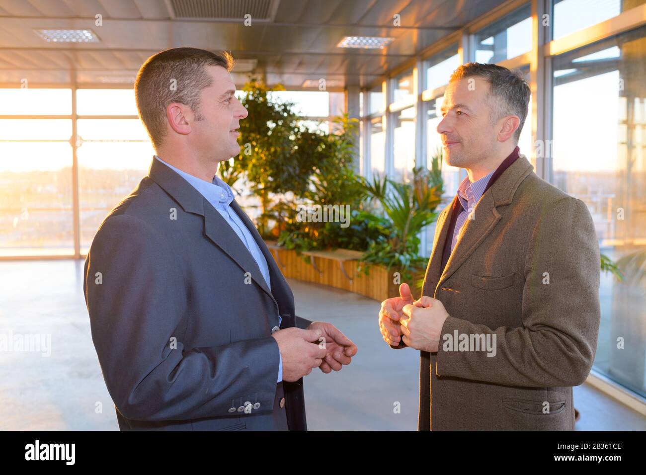 businessmen in formal attire having conversation Stock Photo - Alamy
