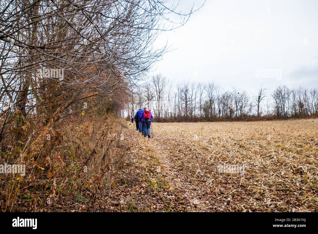 Hiking, Travel, Healthy Lifestyle, Group of active people trekking on ...