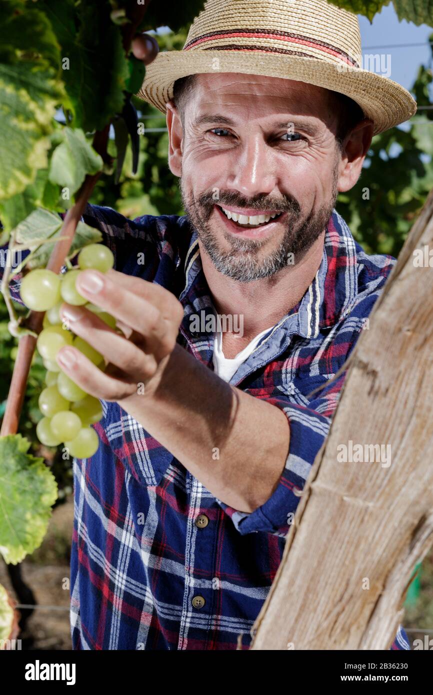Happy worker picking black hi-res stock photography and images - Alamy