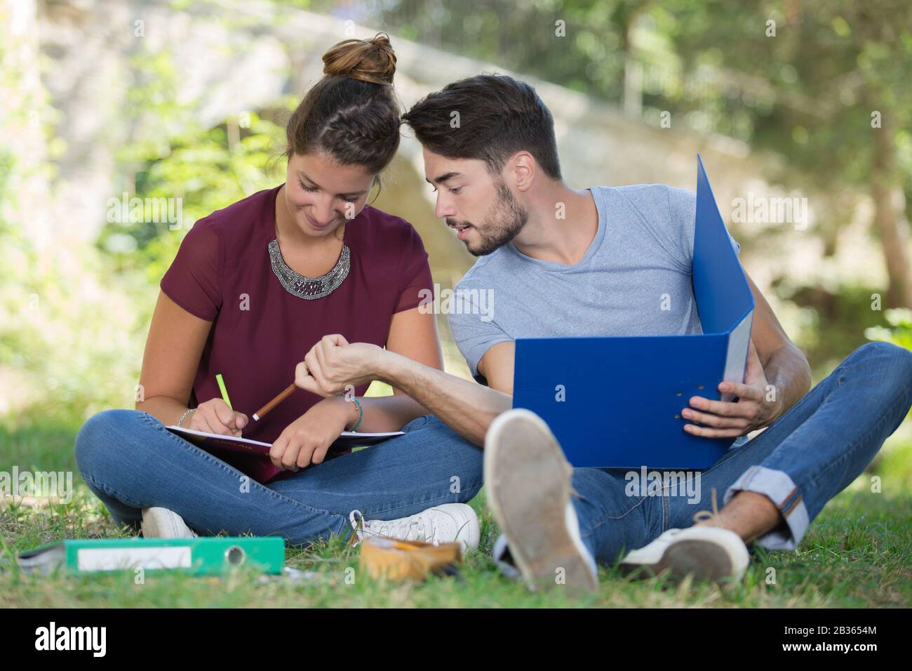 Young people sat on grass studying Stock Photo - Alamy