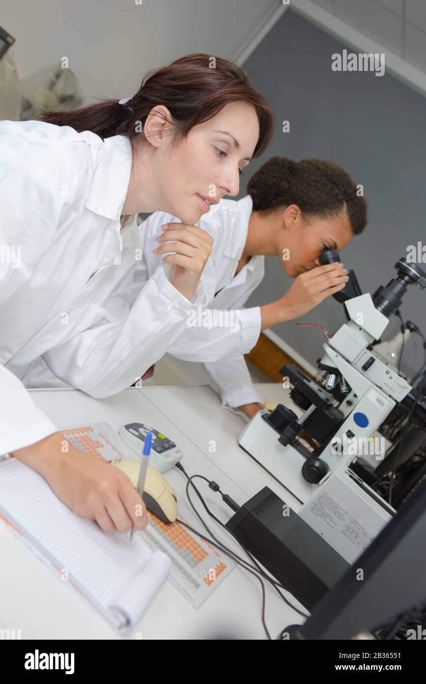 two female scientist in lab Stock Photo - Alamy