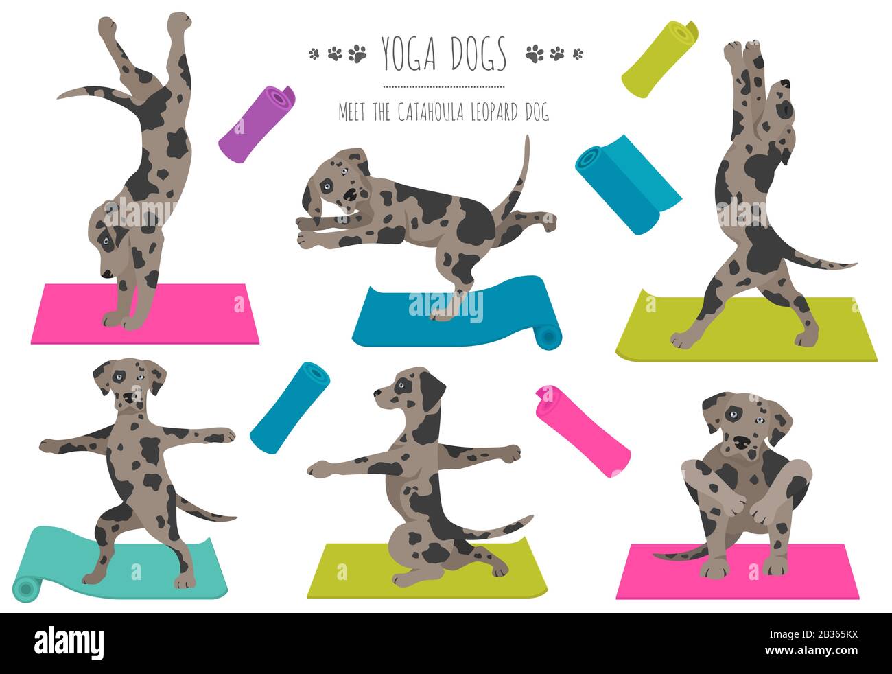 Yoga dogs poses and exercises poster design. Catahoula leopard dog ...