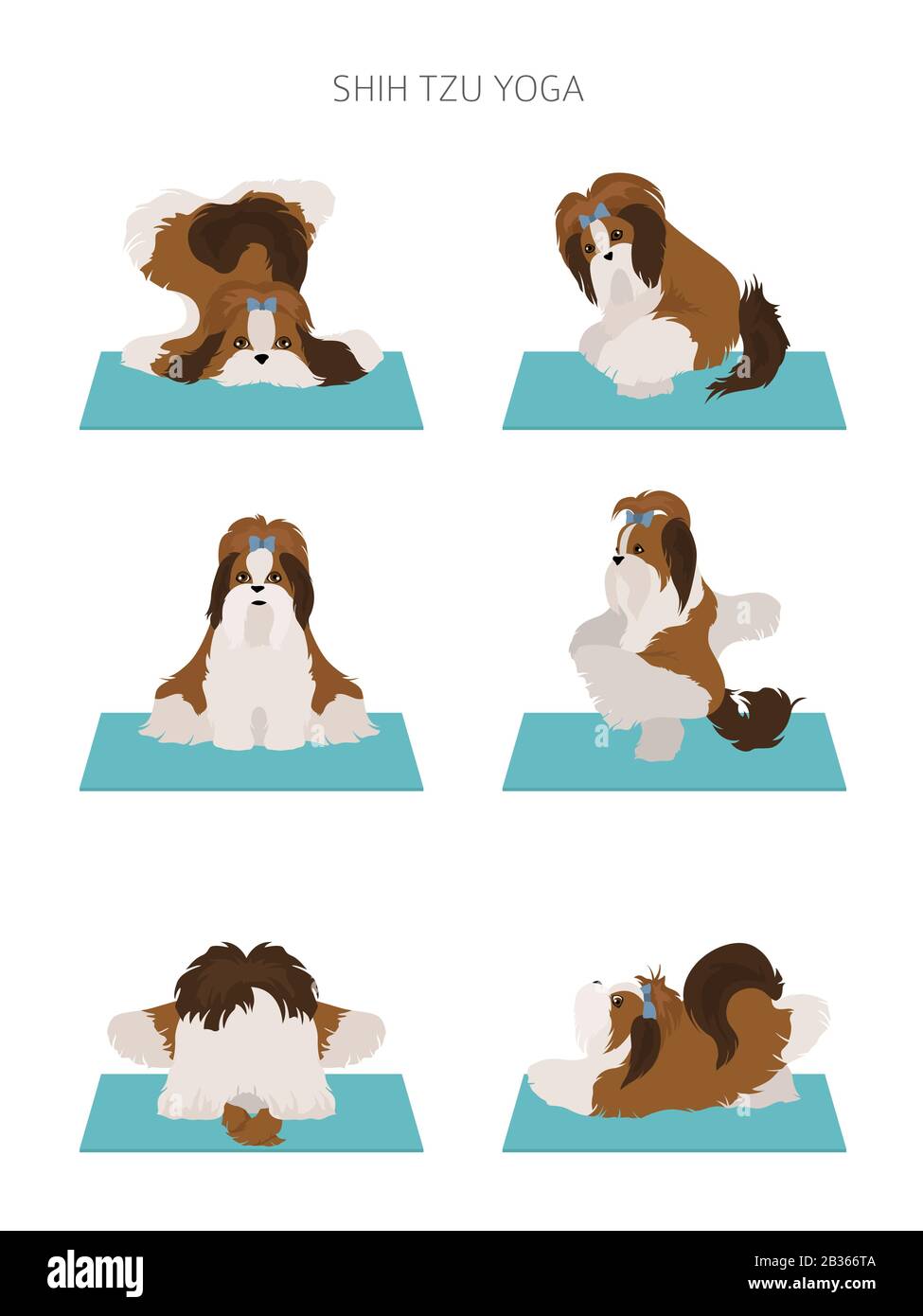 Yoga dogs poses and exercises poster design. Shih tzu clipart. Vector ...