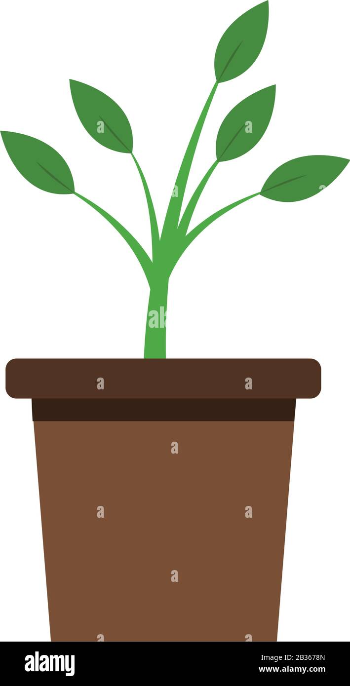 plant icon illustrated on white background Stock Vector Image & Art - Alamy