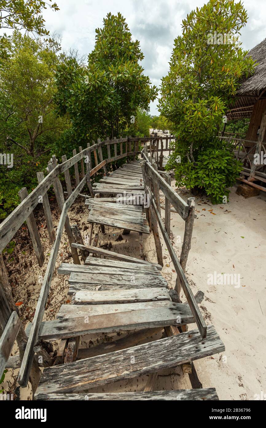 Gazi Mangrove Boardwalk, Kenya Stock Photo - Alamy