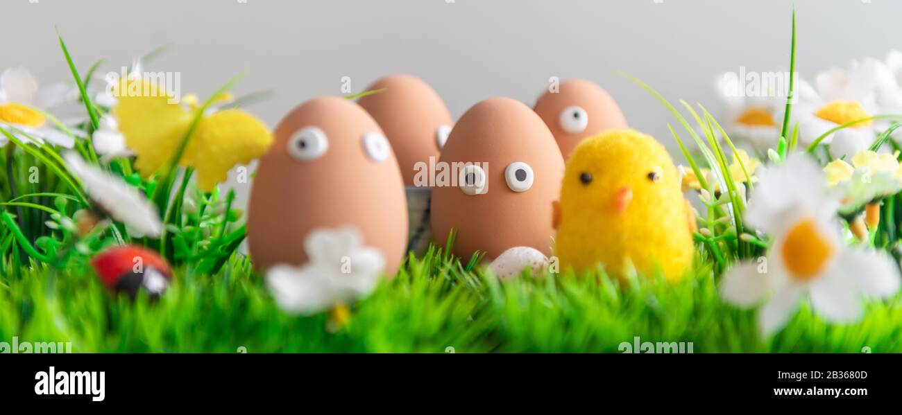 Happy Easter eggs among the spring grass with flowers on an isolated ...