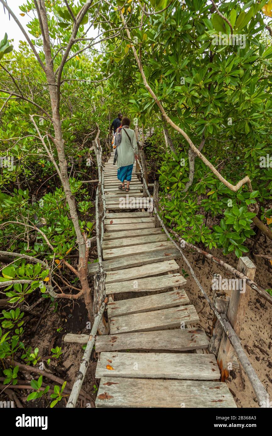 Female in Long Dress in Gazi Mangrove Boardwalk, Kenya Stock Photo - Alamy