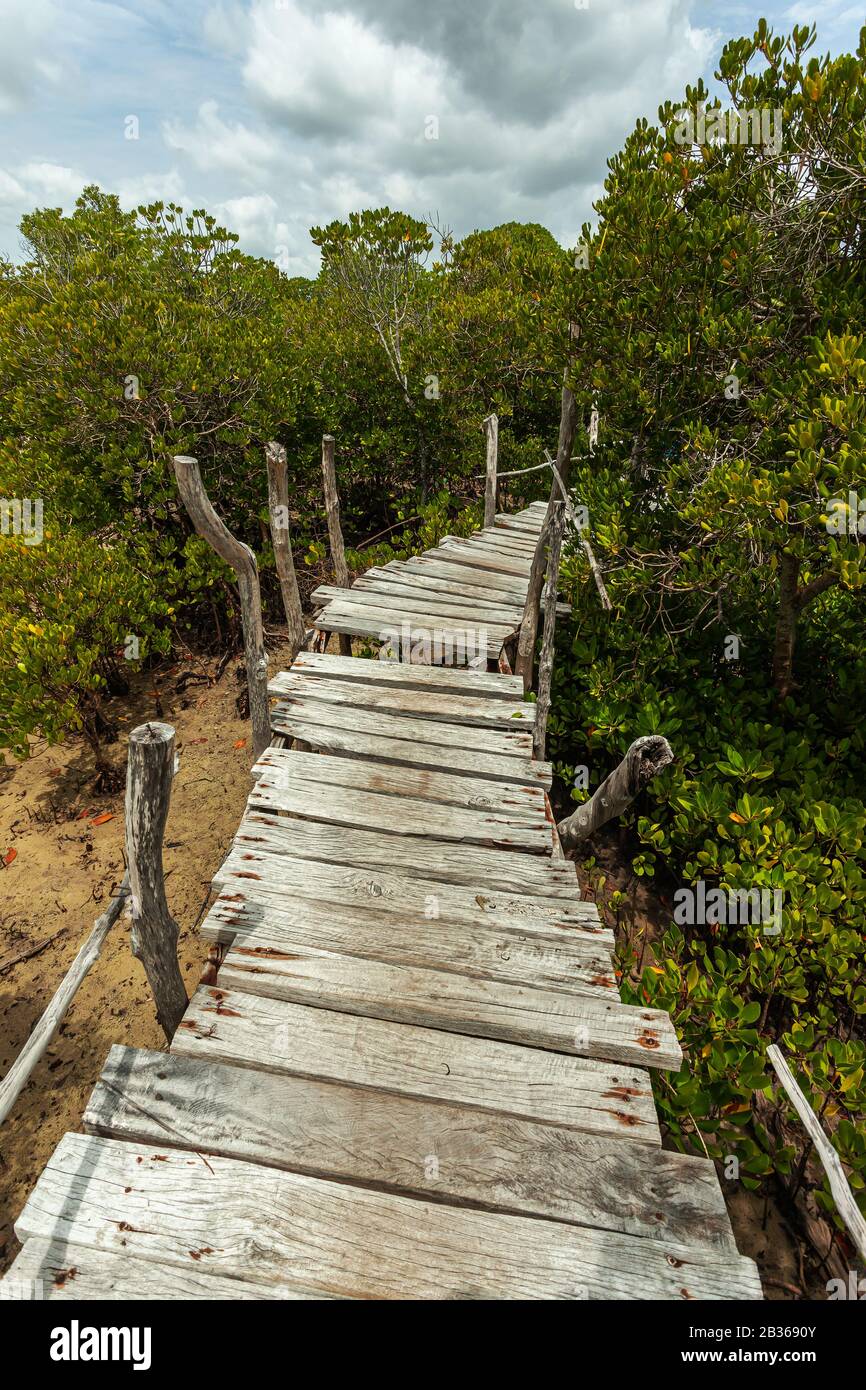 Gazi Mangrove Boardwalk, Kenya Stock Photo - Alamy