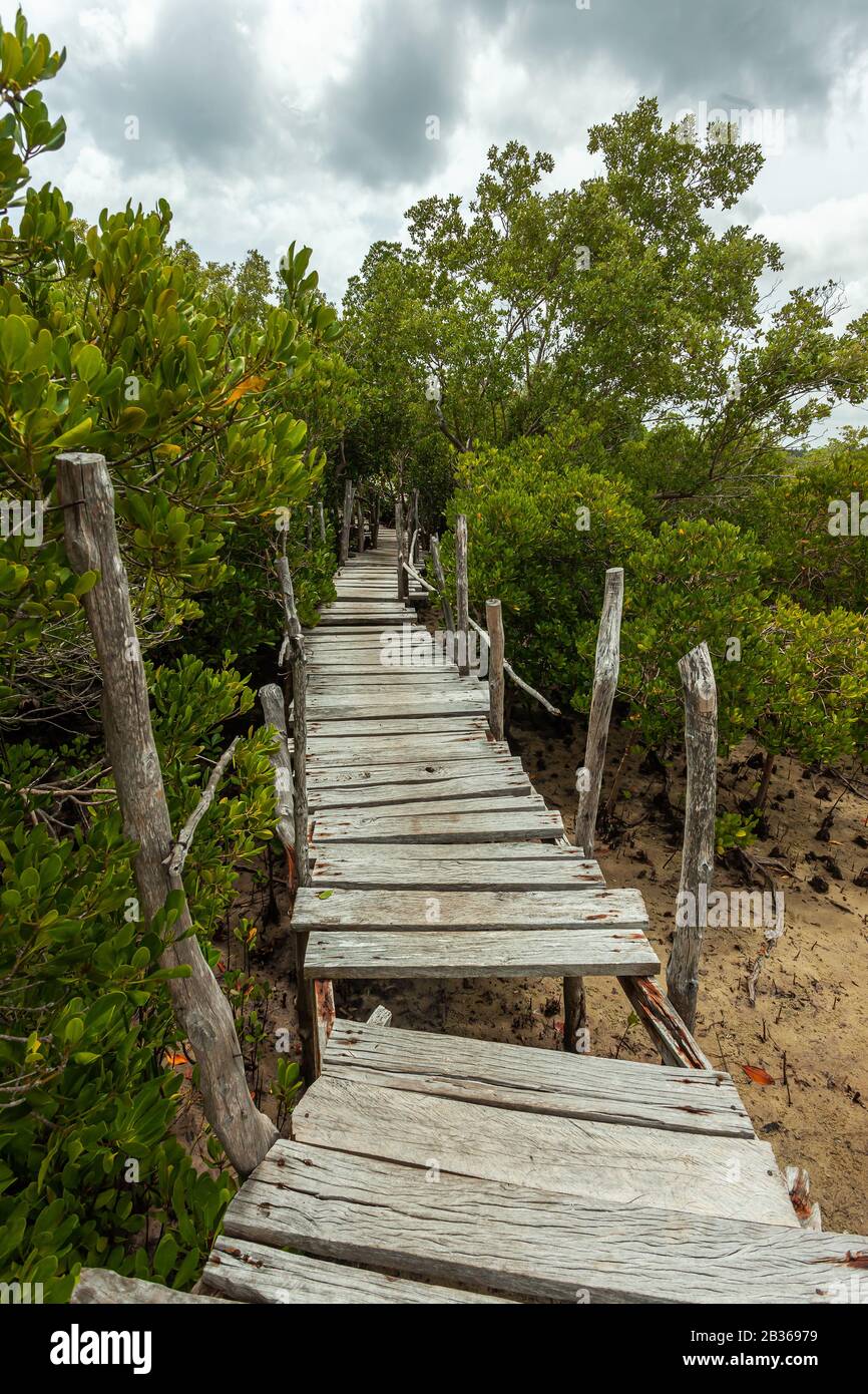 Gazi Mangrove Boardwalk, Kenya Stock Photo - Alamy