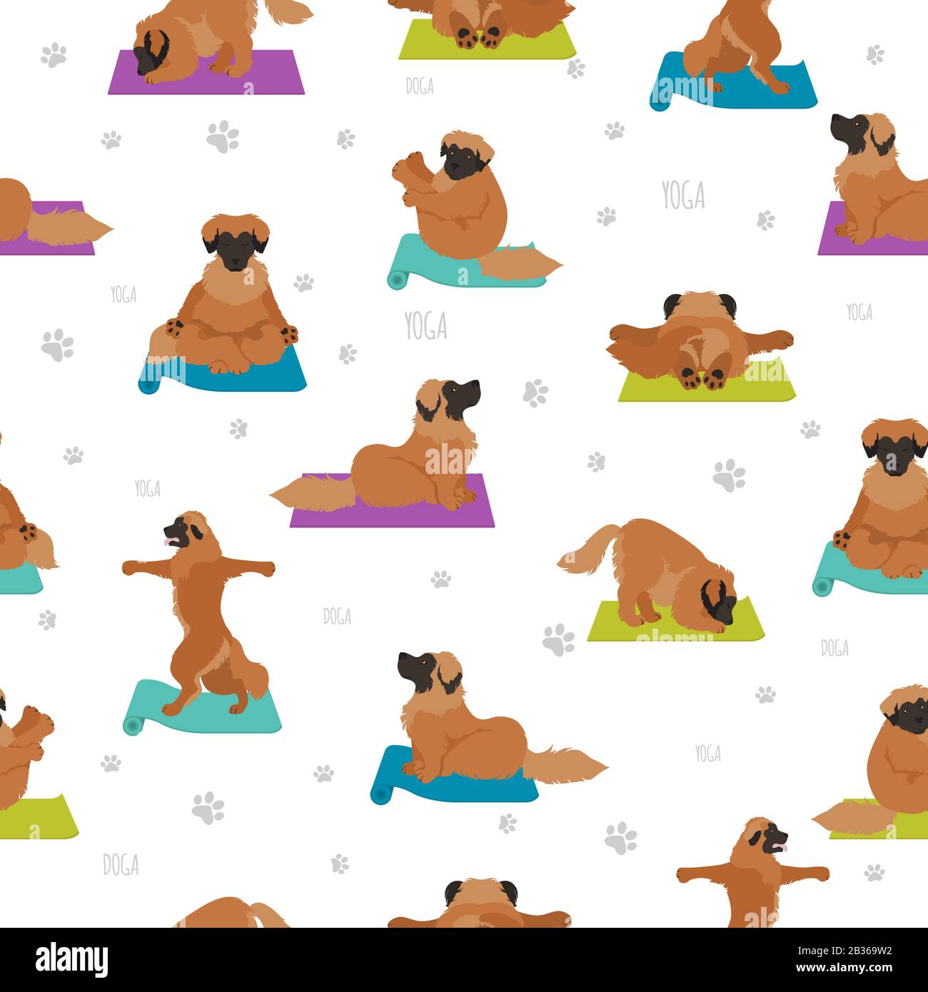 Yoga dogs poses and exercises poster design. Leonberger seamless ...