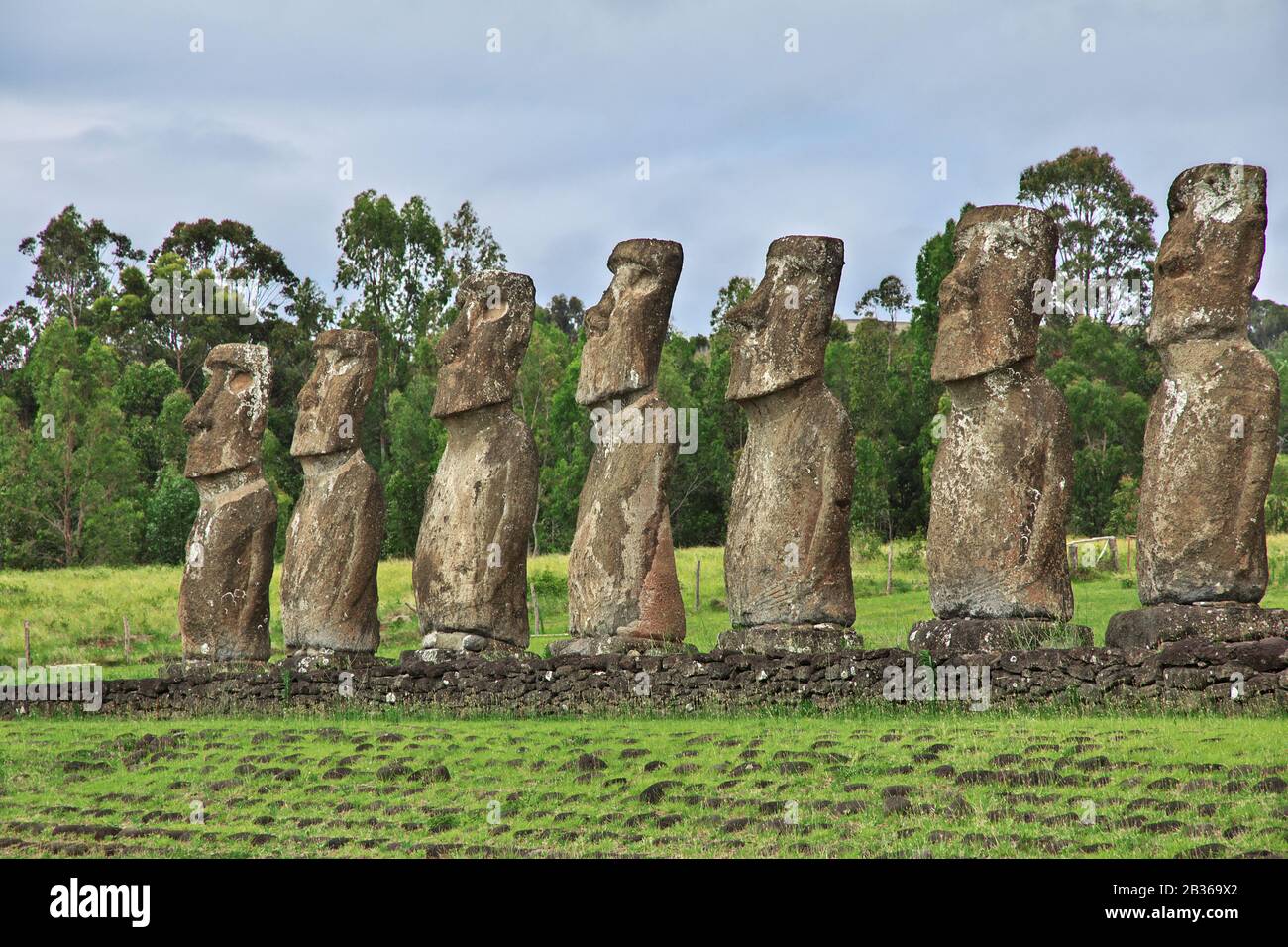 Rapa Nui. The statue Moai in Ahu Akivi on Easter Island, Chile Stock ...
