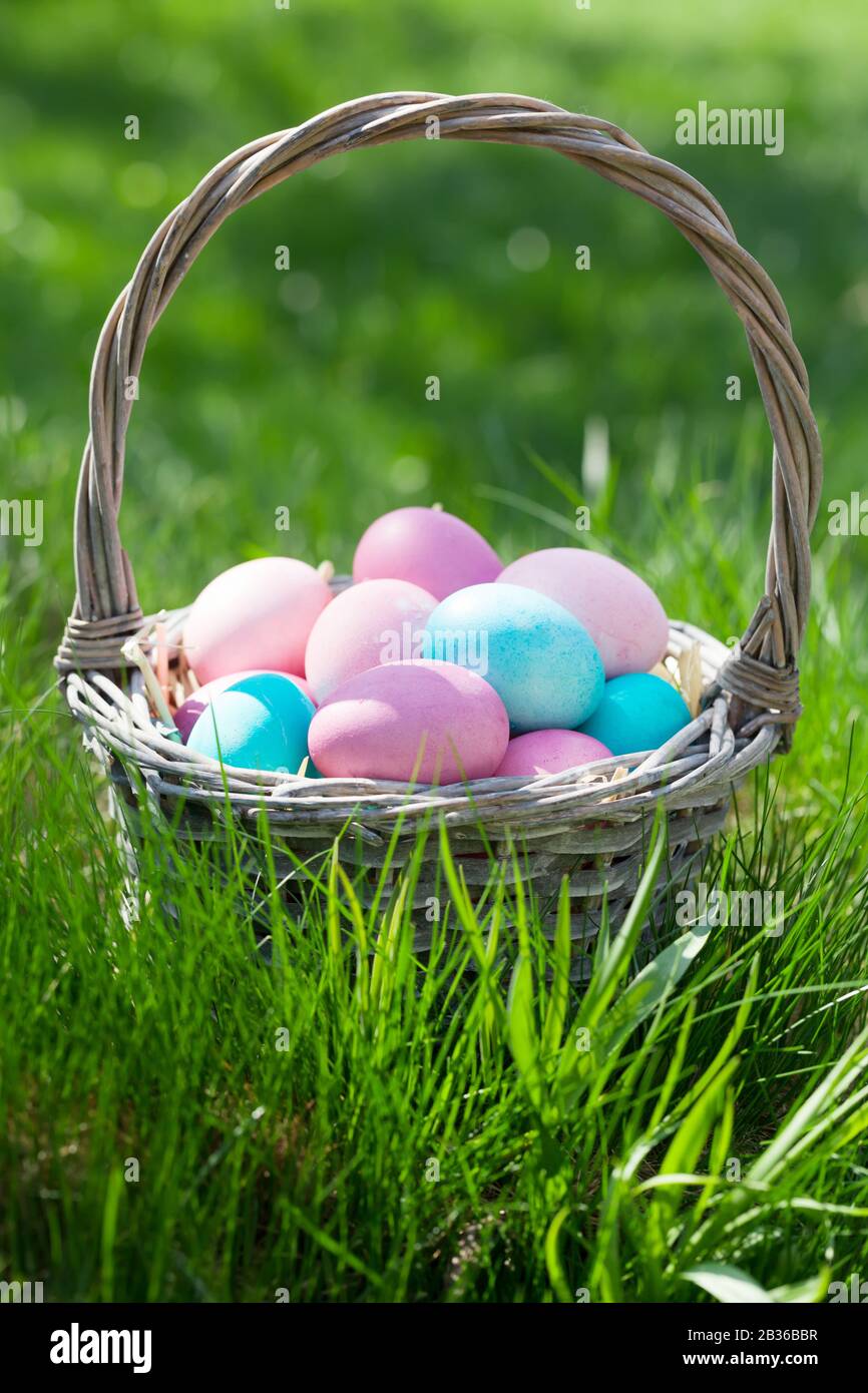 Easter eggs basket on a green grass meadow. With copy space for your ...