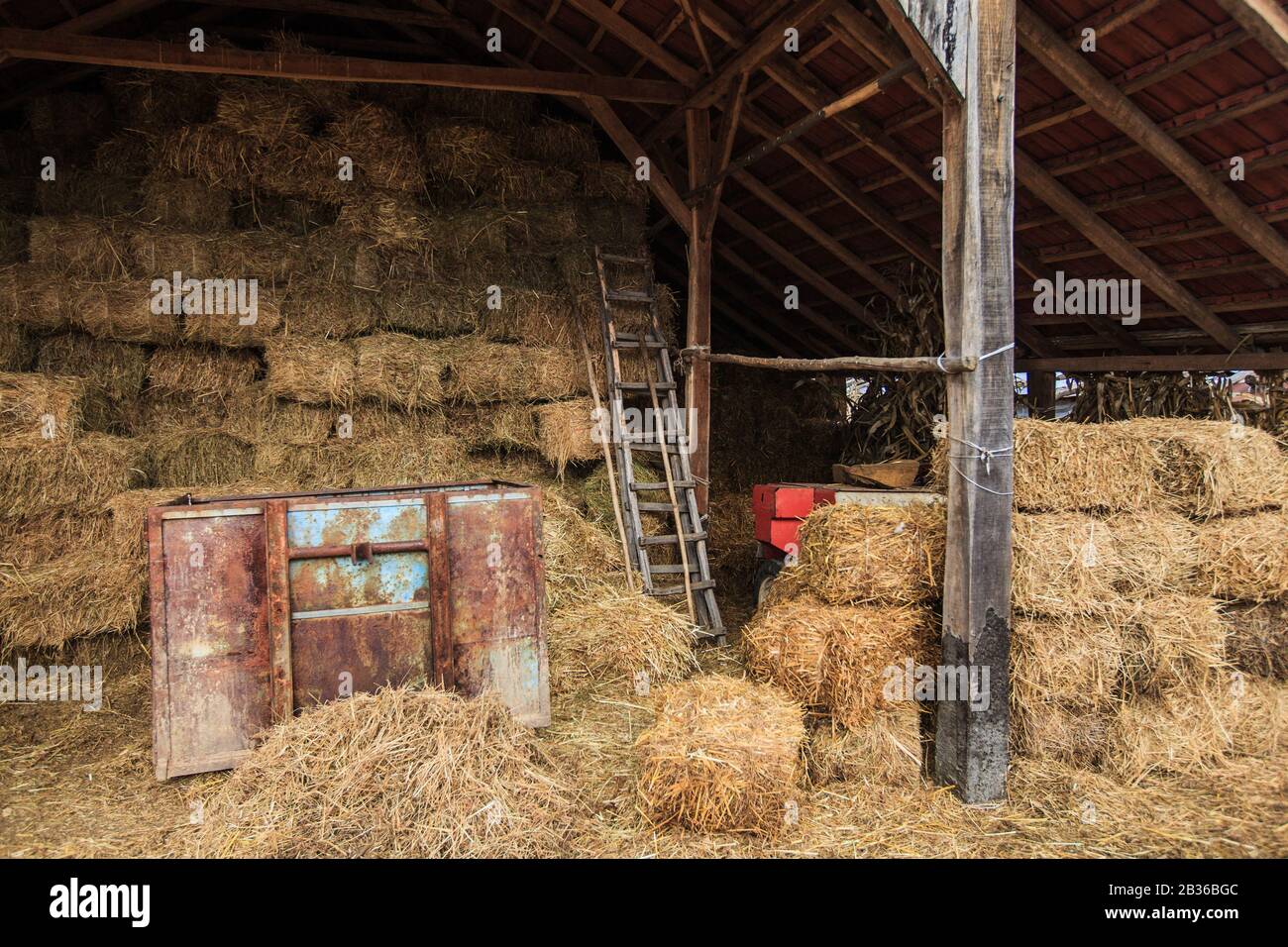 Bales of hay at the rural agricultural farm, stacked at the barn ...
