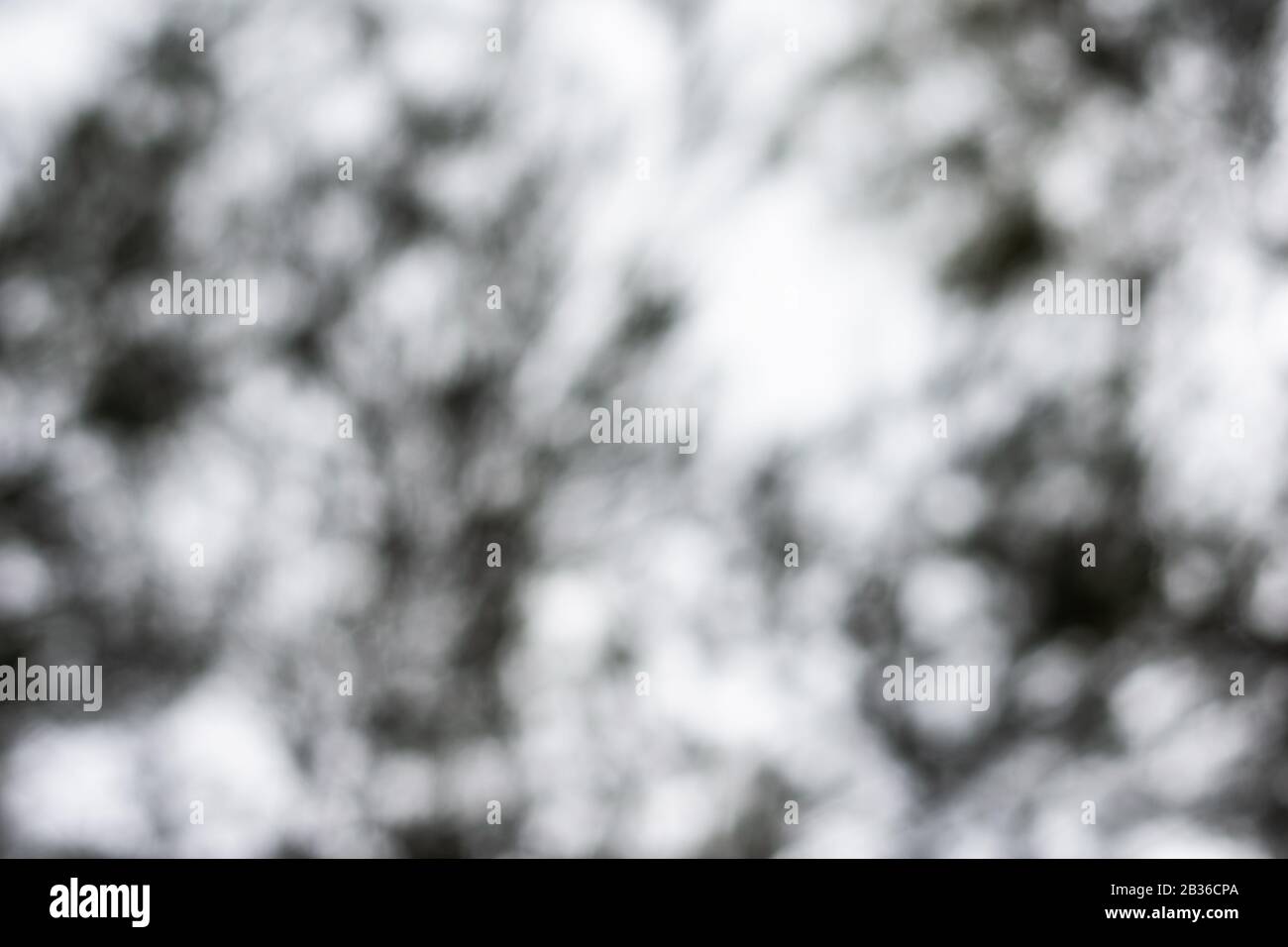 Black blur texture hi-res stock photography and images - Alamy