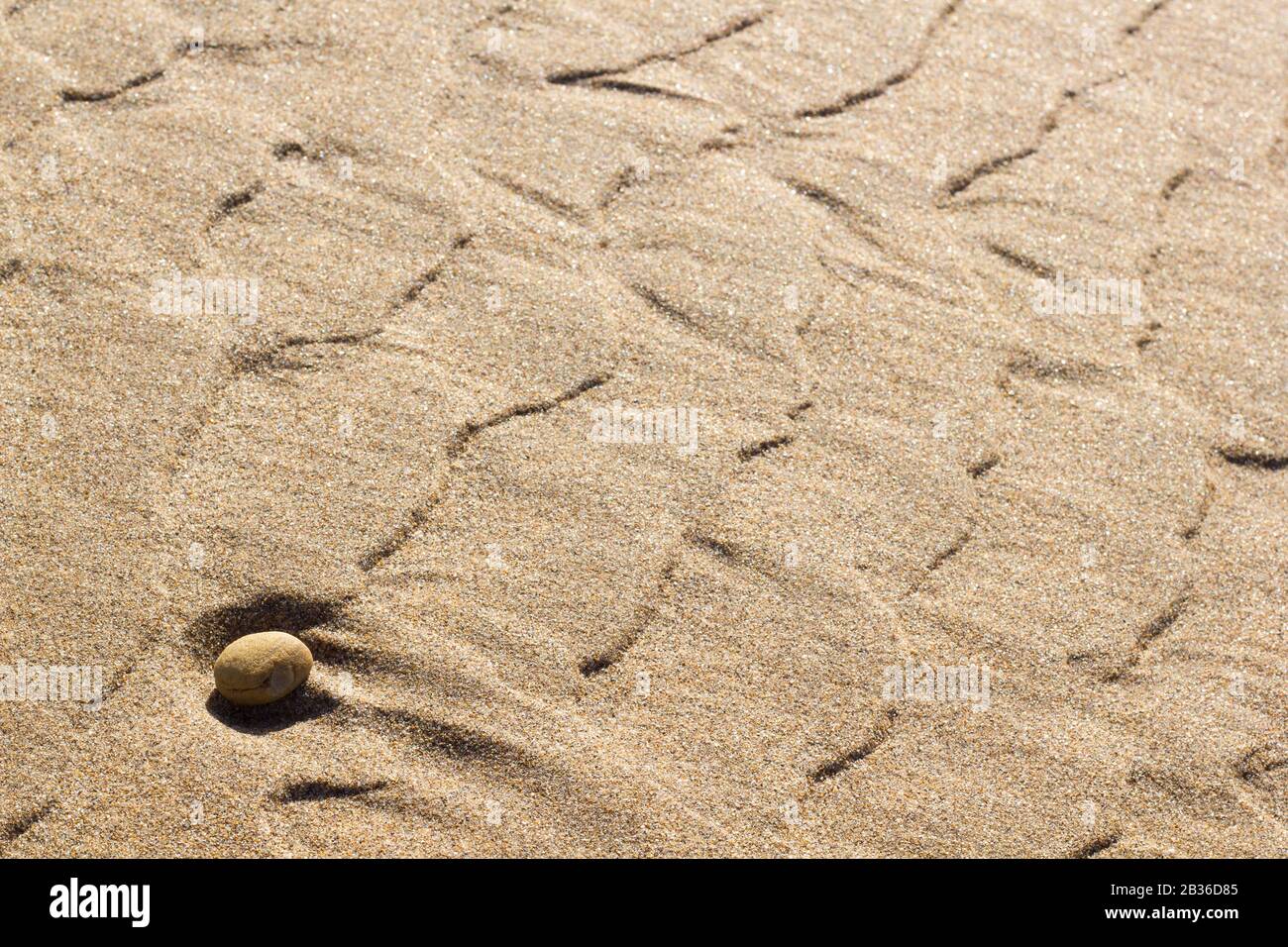 Curve of a pebble beach hi-res stock photography and images - Alamy