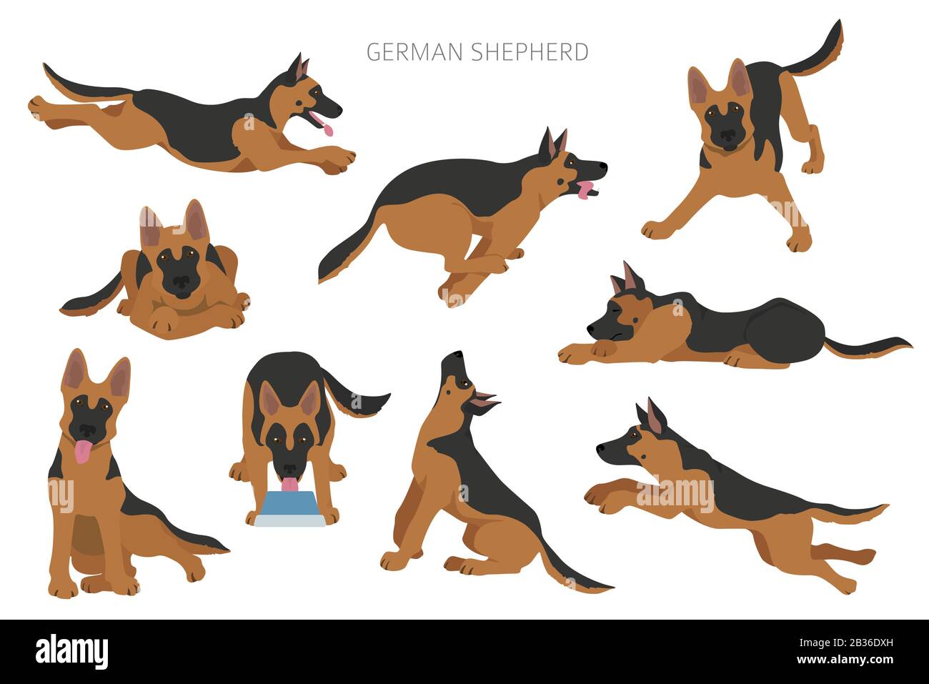 German shepherd dogs in different poses. Shepherd characters set ...