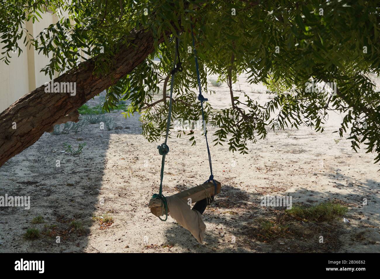 A Dirty Children Tree Swing. Wooden Swing Still Under The Trees In The ...