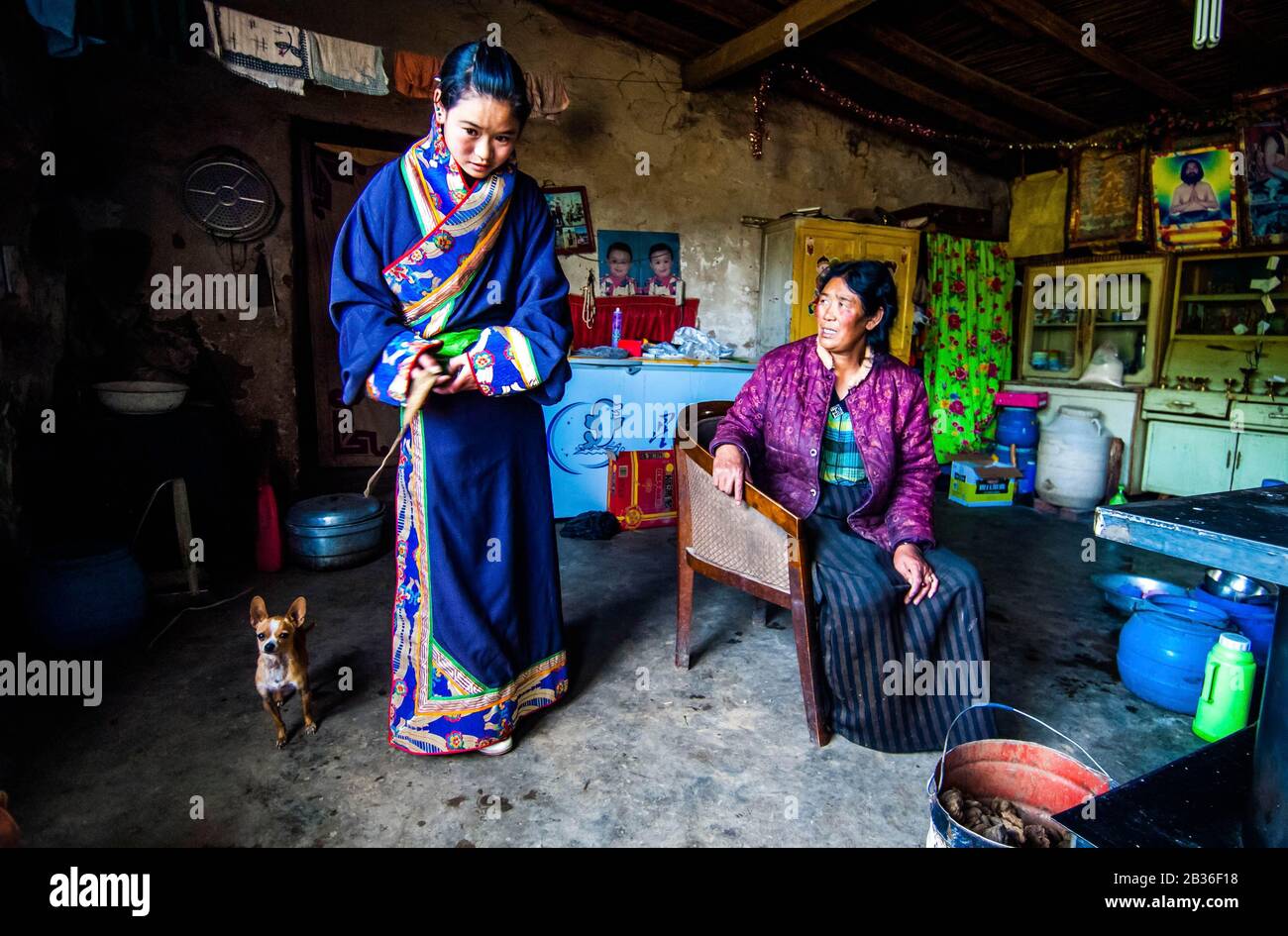 China, Qinghai, Tibet, Amdo, Darlak, Dari Stock Photo - Alamy