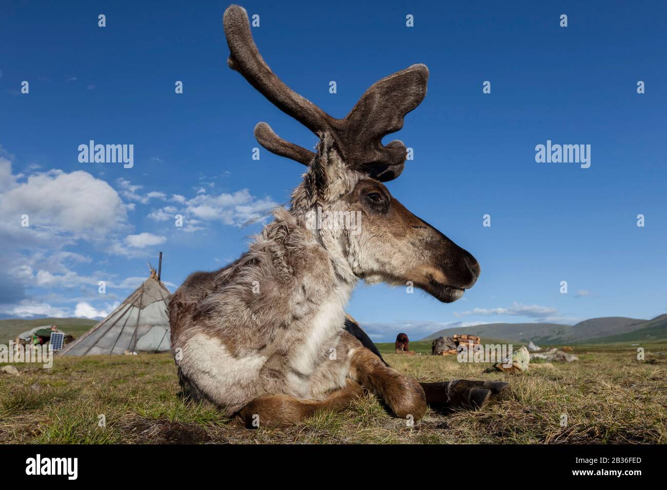 Traditionnal dwelling hi-res stock photography and images - Alamy