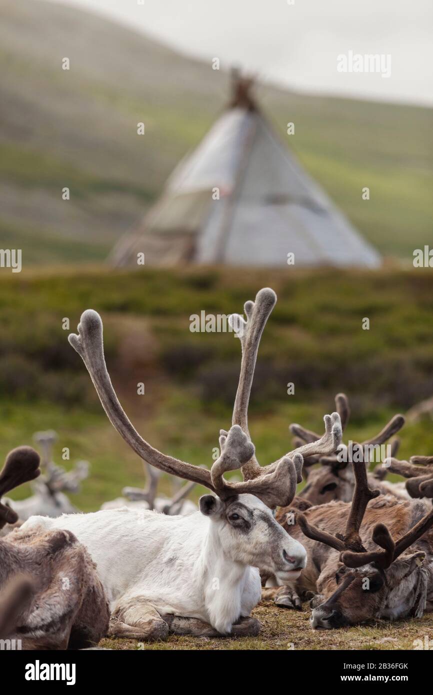Traditionnal dwelling hi-res stock photography and images - Alamy