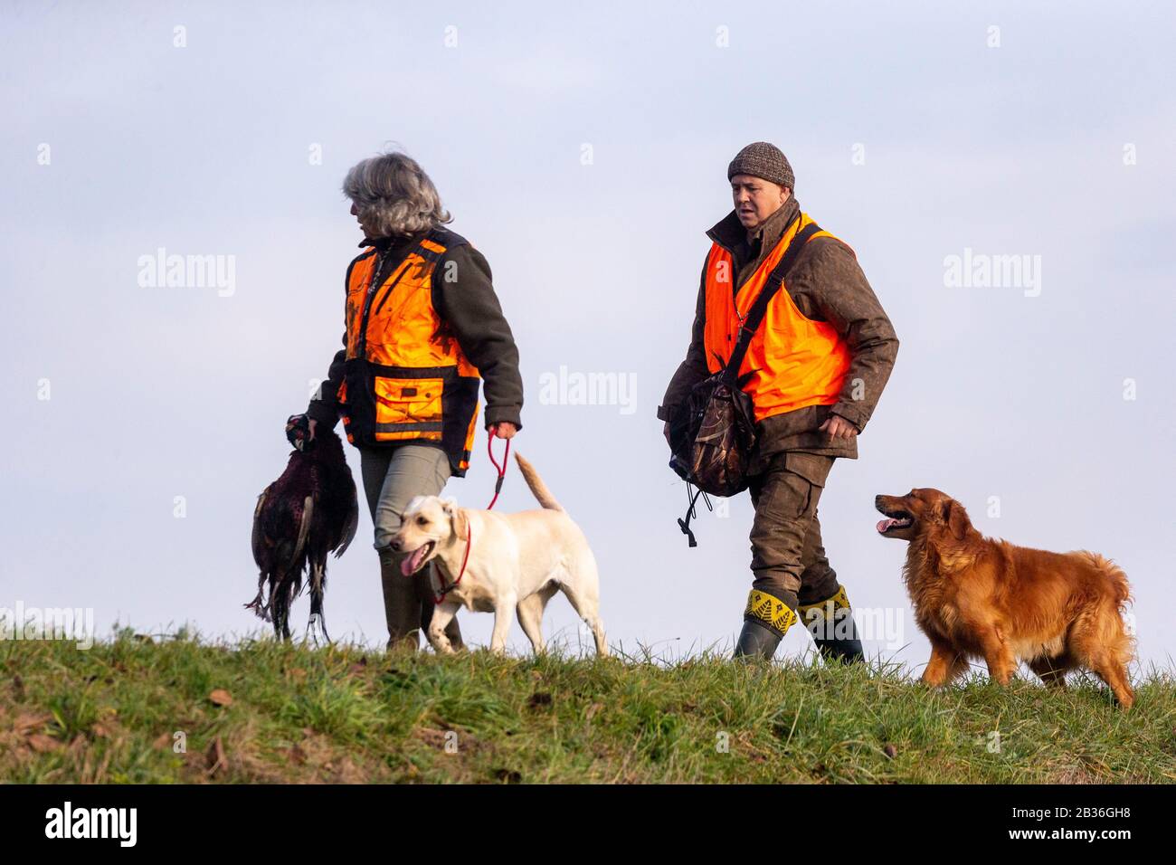 Small game hunting hi-res stock photography and images - Alamy