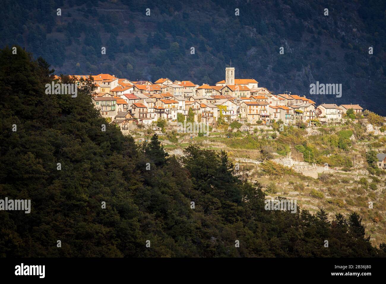 Venanson hi-res stock photography and images - Alamy