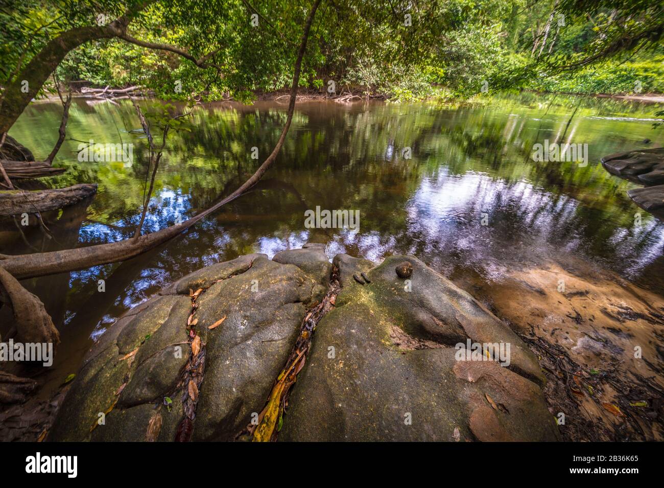 France, French Guiana, unexplored area on the border between the heart ...