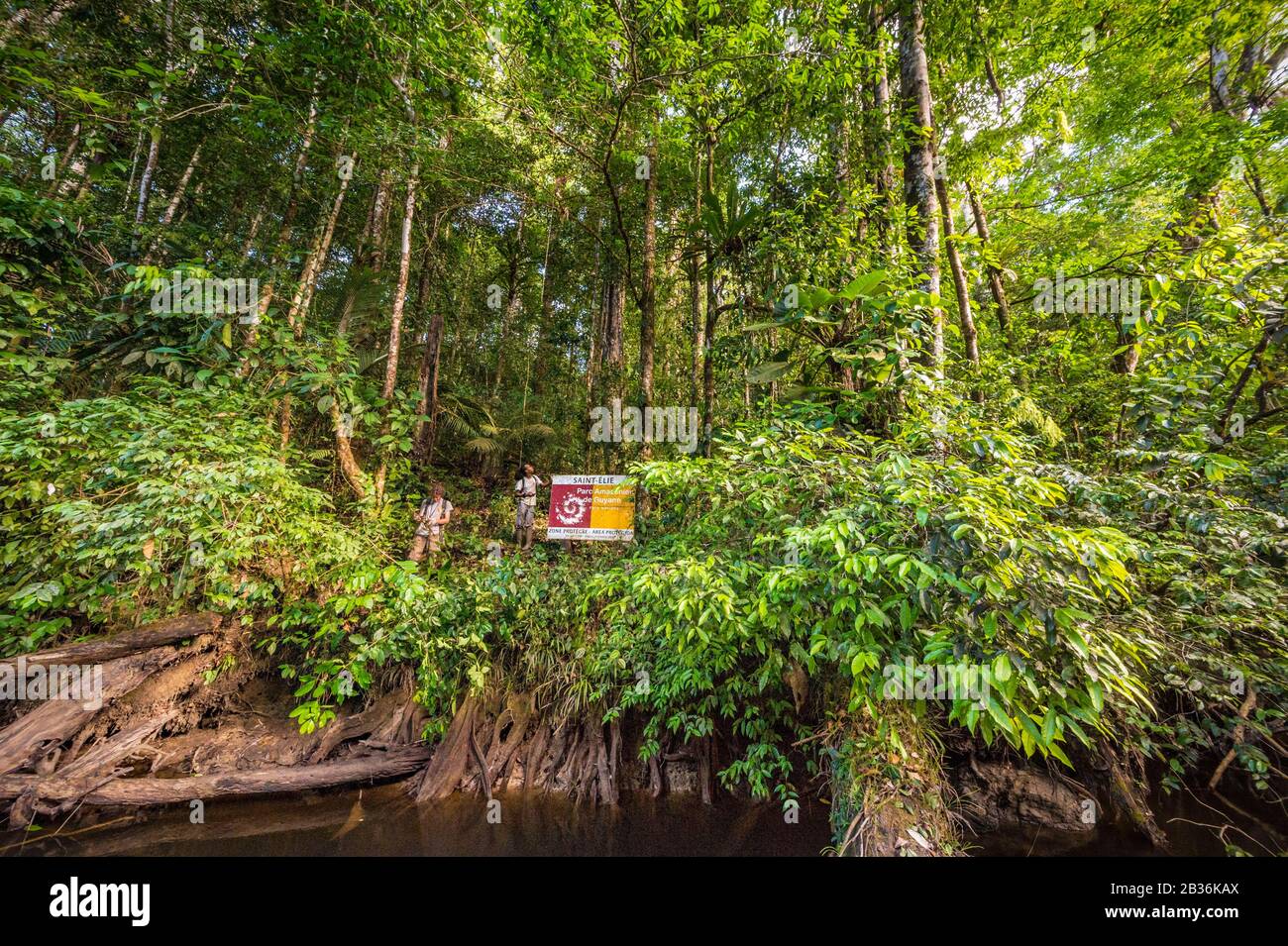 France, French Guiana, unexplored area on the border between the heart ...