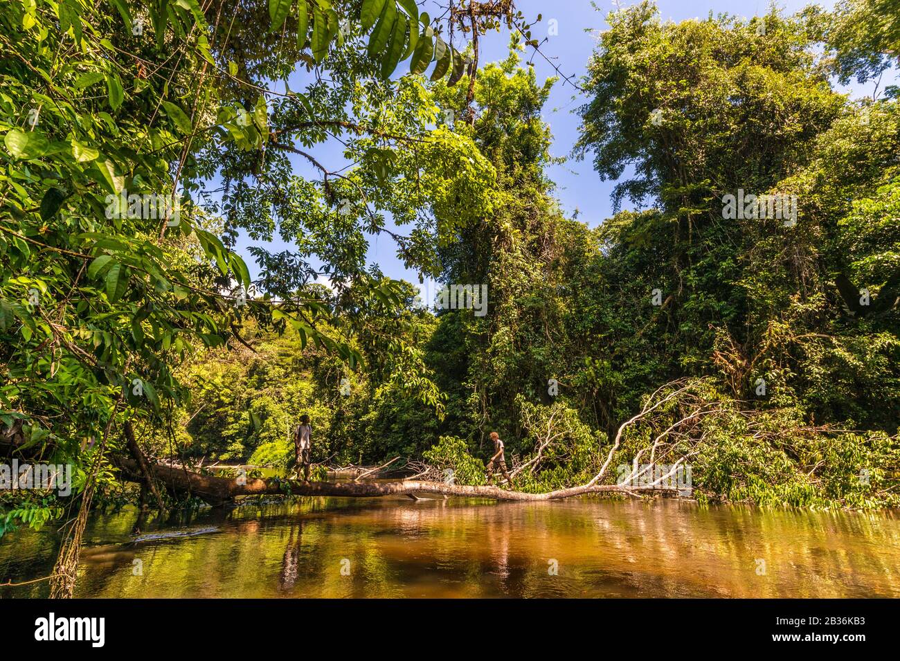 France, French Guiana, unexplored area on the border between the heart ...